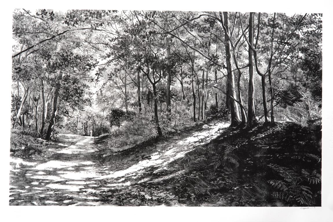 Contraluz, 2019 – Patrick Laurin