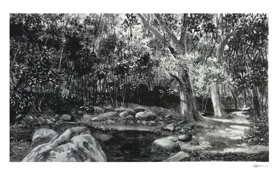 Bosque, Selva y Fraga, 2020 – Patrick Laurin