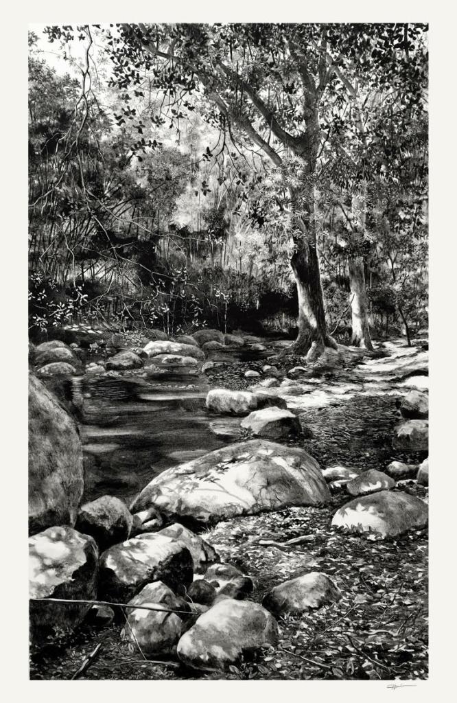 Bosque, Selva y Fraga, 2020 – Patrick Laurin