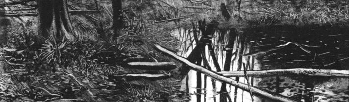 SENLIS ARTFAIR 2021 – Patrick Laurin